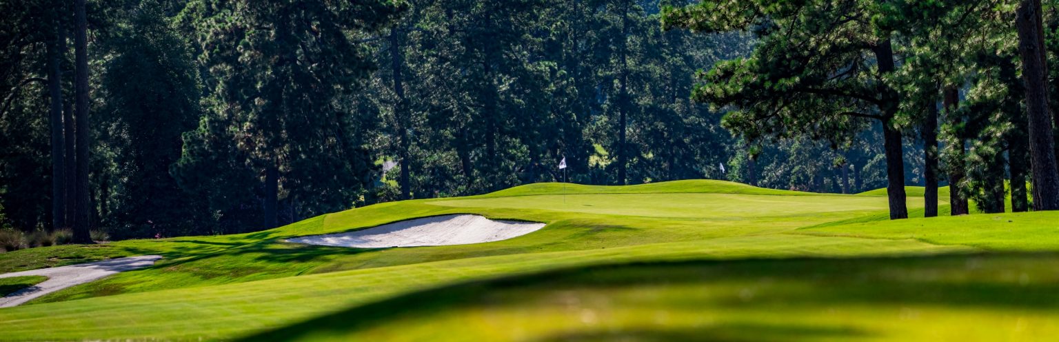 The Golf Environment Awards – Recognising golf clubs for their ...