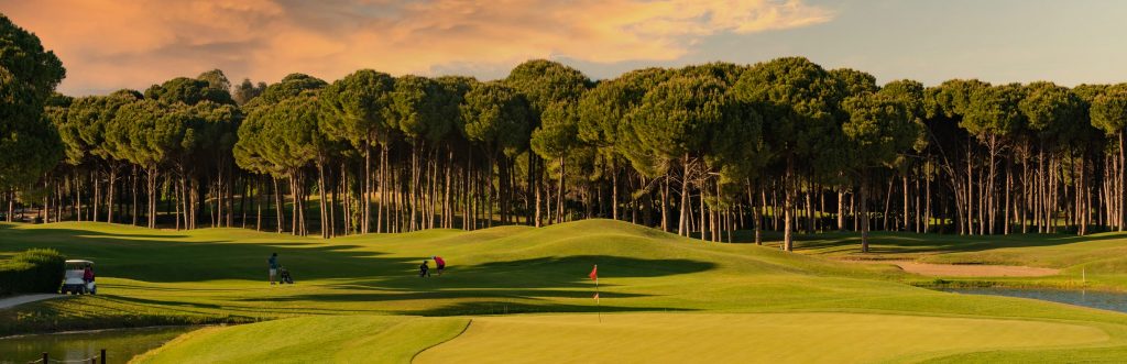 The Golf Environment Awards – Recognising golf clubs for their ...